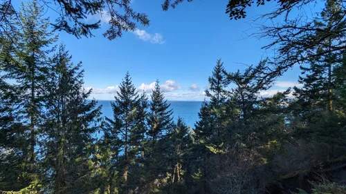Best Kid Friendly Trails in Miller Peninsula State Park | AllTrails