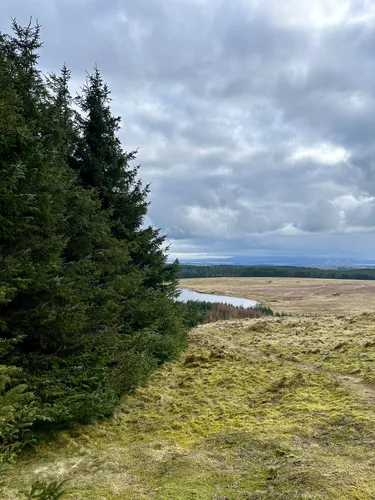 Best Lake Trails in Kelty | AllTrails