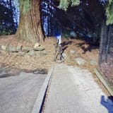 Sword Fern and Highline Trail, Washington - 243 Reviews, Map | AllTrails