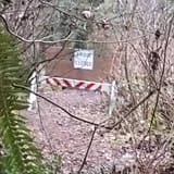 Sword Fern and Highline Trail, Washington - 224 Reviews, Map | AllTrails