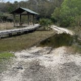 Guana Trail, Marshview Lane, and Shellbluff Road, Florida - 286 Reviews ...