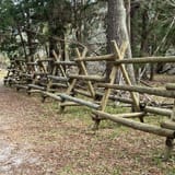 Guana Trail, Marshview Lane, and Shellbluff Road, Florida - 286 Reviews ...
