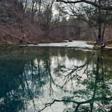 Blue Spring Trail, Missouri - 229 Reviews, Map | AllTrails