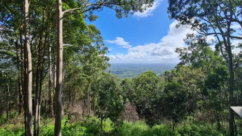 Best Easy Trails in Samford Conservation Park | AllTrails