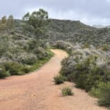 Inspiration Point Loop, California - 4,148 Reviews, Map | AllTrails