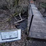 Sword Fern and Highline Trail, Washington - 224 Reviews, Map | AllTrails