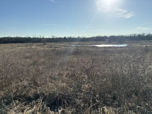 Best Hikes and Trails in Timber Ridge Forest Preserve | AllTrails