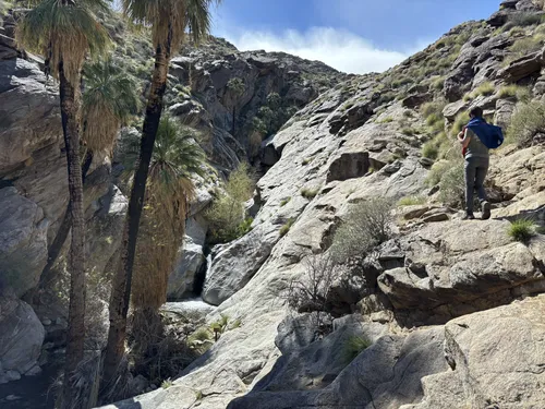 Best Hikes and Trails in Cahuilla Native American Land - Indian Canyons ...