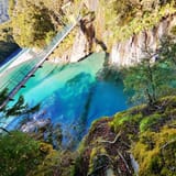 Blue Pools Track, West Coast, New Zealand - 693 Reviews, Map | AllTrails