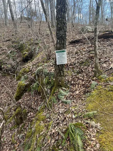 Best River Trails in Harrison | AllTrails