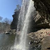 Cedar Falls Trail, Arkansas - 1,860 Reviews, Map | AllTrails