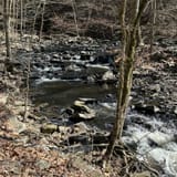 Cedar Falls Trail, Arkansas - 1,860 Reviews, Map | AllTrails