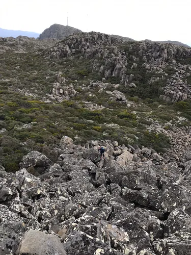 Best Hikes and Trails in Mount Barrow State Reserve | AllTrails