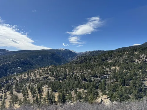 Best Bird Watching Trails in Hall Ranch Open Space | AllTrails