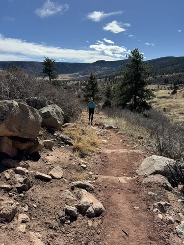 Best Bird Watching Trails in Hall Ranch Open Space | AllTrails