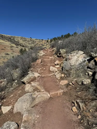 Best Bird Watching Trails in Hall Ranch Open Space | AllTrails