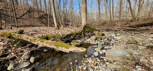 Best Hikes and Trails in Portland State Game Area | AllTrails