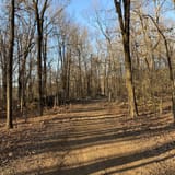 Bench Trail, Arkansas - 530 Reviews, Map | AllTrails