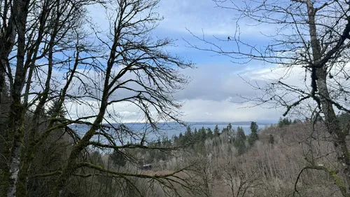 Best Moderate Trails in Mukilteo | AllTrails