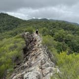 Pages Pinnacle , Queensland, Australia - 1,354 Reviews, Map | AllTrails