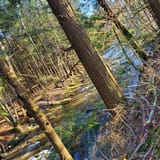 Old Mill Trail, Massachusetts - 258 Reviews, Map | AllTrails