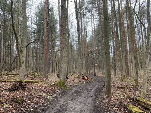 Best Hikes and Trails in Genesee County Park and Forest | AllTrails