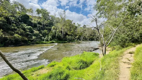 Best Hikes and Trails in Yarra River Water Frontage | AllTrails
