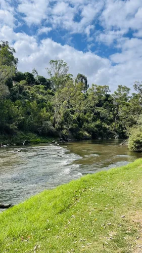 Best Hikes and Trails in Yarra River Water Frontage | AllTrails