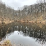 Mountain Tea State Forest Cabin and Pond, Indiana - 189 Reviews, Map ...
