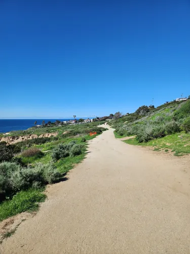 Best Hikes and Trails in Sunset Cliffs Natural Park | AllTrails