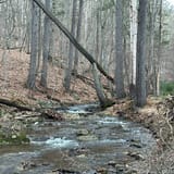 White Oak Trail to Cranny Crow Overlook, West Virginia - 664 Reviews ...