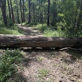 Hellfire Pass, Queensland, Australia - 537 Reviews, Map | AllTrails