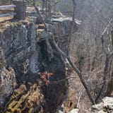 King's Bluff Loop Trail, Arkansas - 373 Reviews, Map | AllTrails