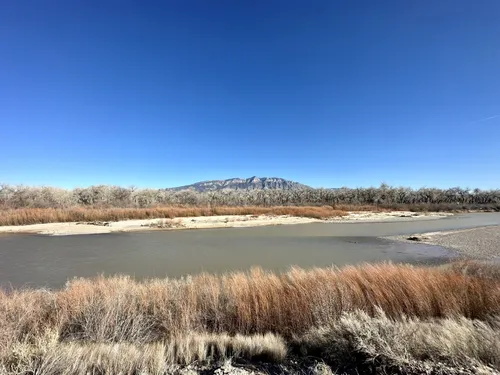 Best Hikes and Trails in Rio Rancho Bosque Nature Preserve | AllTrails