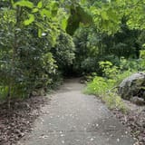 Mount Beerburrum Walking Track, Queensland, Australia - 536 Reviews ...