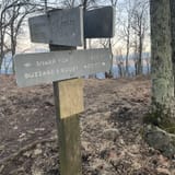 Sharp Top Trail, Virginia - 2,714 Reviews, Map | AllTrails