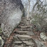 Sharp Top Trail, Virginia - 2,714 Reviews, Map | AllTrails