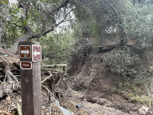 Best Hikes and Trails in Thomas F Riley Wilderness Park | AllTrails