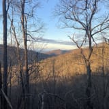 Sharp Top Trail, Virginia - 2,714 Reviews, Map | AllTrails