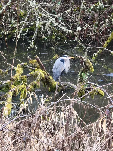 Best Hikes and Trails in Ridgefield National Wildlife Refuge | AllTrails