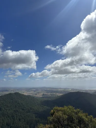 Best Hikes and Trails in Dial Range Regional Reserve | AllTrails