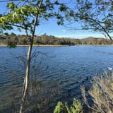 Lake Miramar Trail, California - 3,651 Reviews, Map | AllTrails