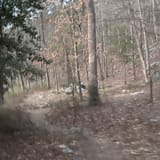 Viles Branch Equestrian Trail, Arkansas - 22 Reviews, Map | AllTrails