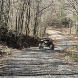 Viles Branch Equestrian Trail, Arkansas - 22 Reviews, Map | AllTrails