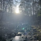 Viles Branch Equestrian Trail, Arkansas - 22 Reviews, Map | AllTrails