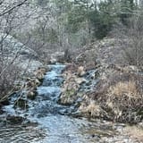 Viles Branch Equestrian Trail, Arkansas - 22 Reviews, Map | AllTrails