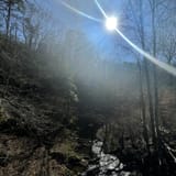 Viles Branch Equestrian Trail, Arkansas - 22 Reviews, Map | AllTrails