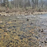 Viles Branch Equestrian Trail, Arkansas - 22 Reviews, Map | AllTrails