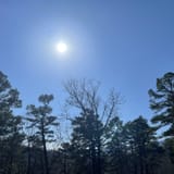 Viles Branch Equestrian Trail, Arkansas - 22 Reviews, Map | AllTrails