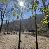 Viles Branch Equestrian Trail, Arkansas - 22 Reviews, Map | AllTrails